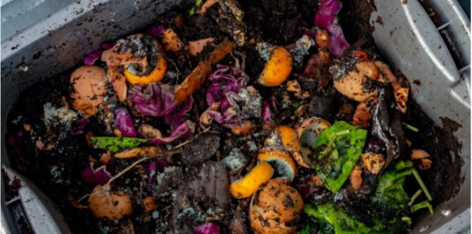 Ventajas del vermicompostaje - Para un mundo más sostenible: Vermi la ...