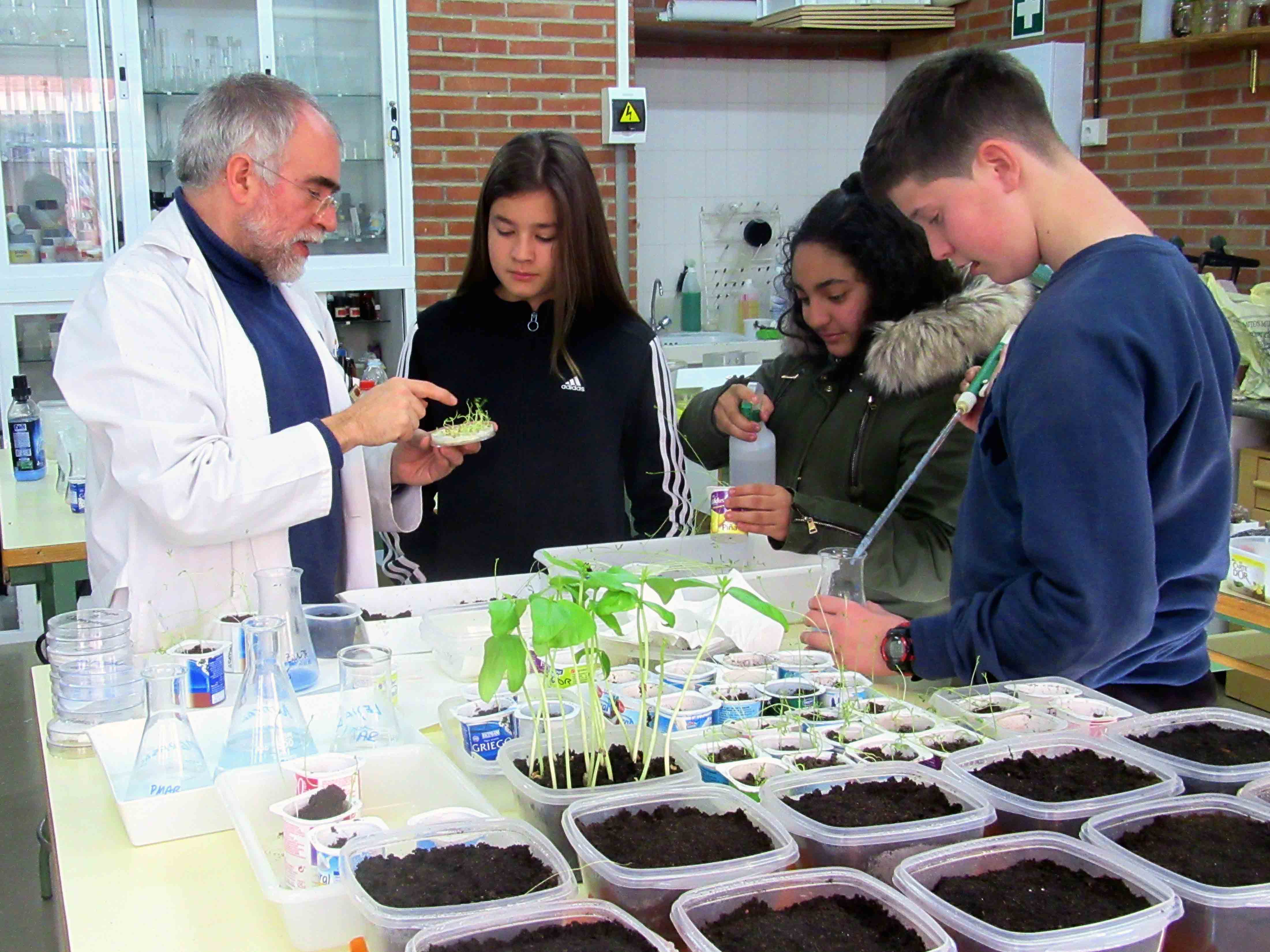 Un proyecto implica a más de 200 participantes y expertos para reducir ...